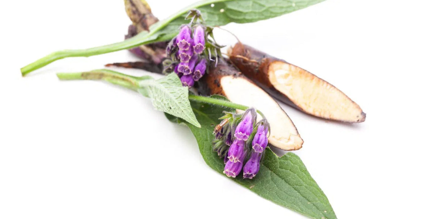 Allantoin | Wirkung & Verwendung – DOC BERGER EFFECT